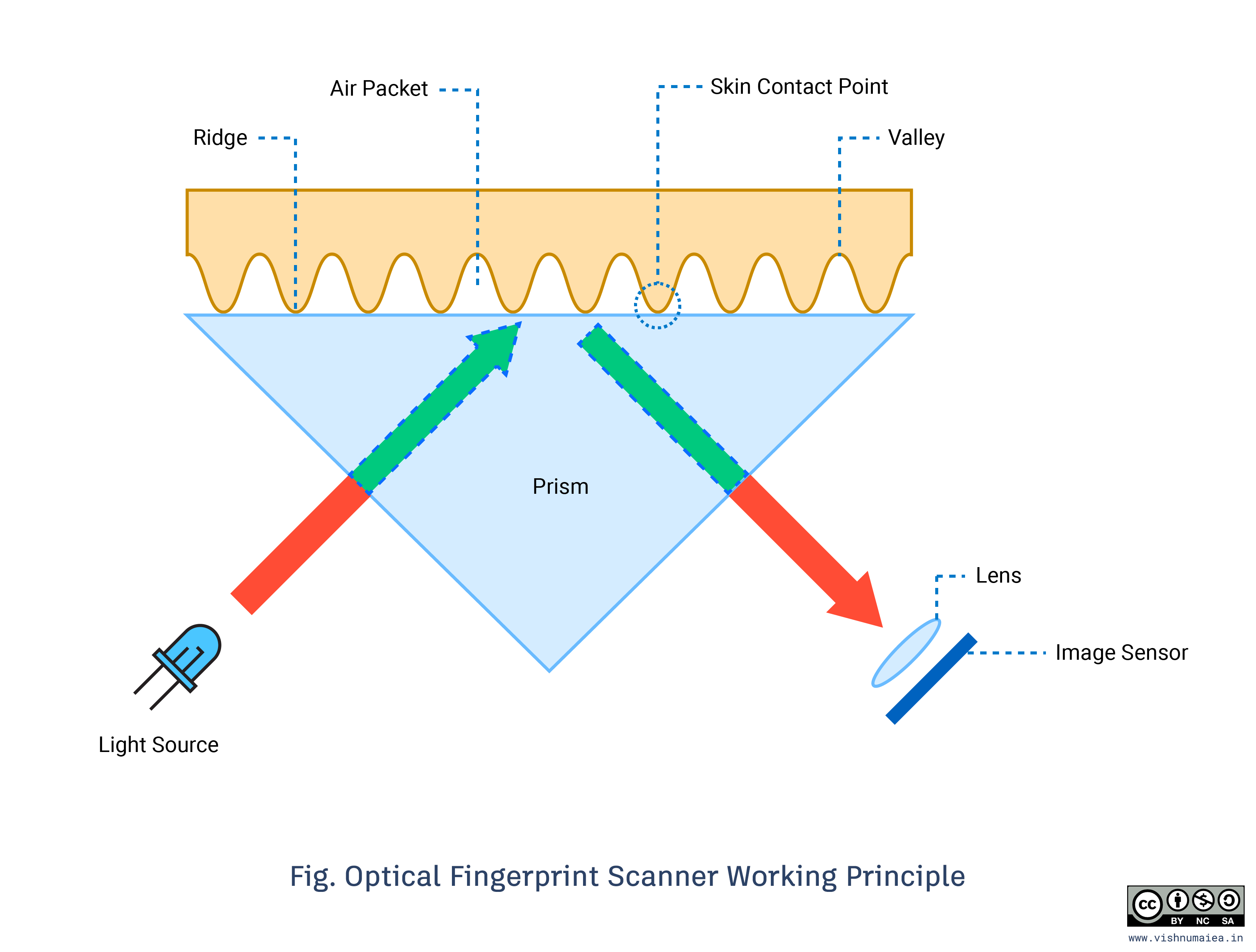 Interfacing R307 Optical Fingerprint Scanner With Arduino
